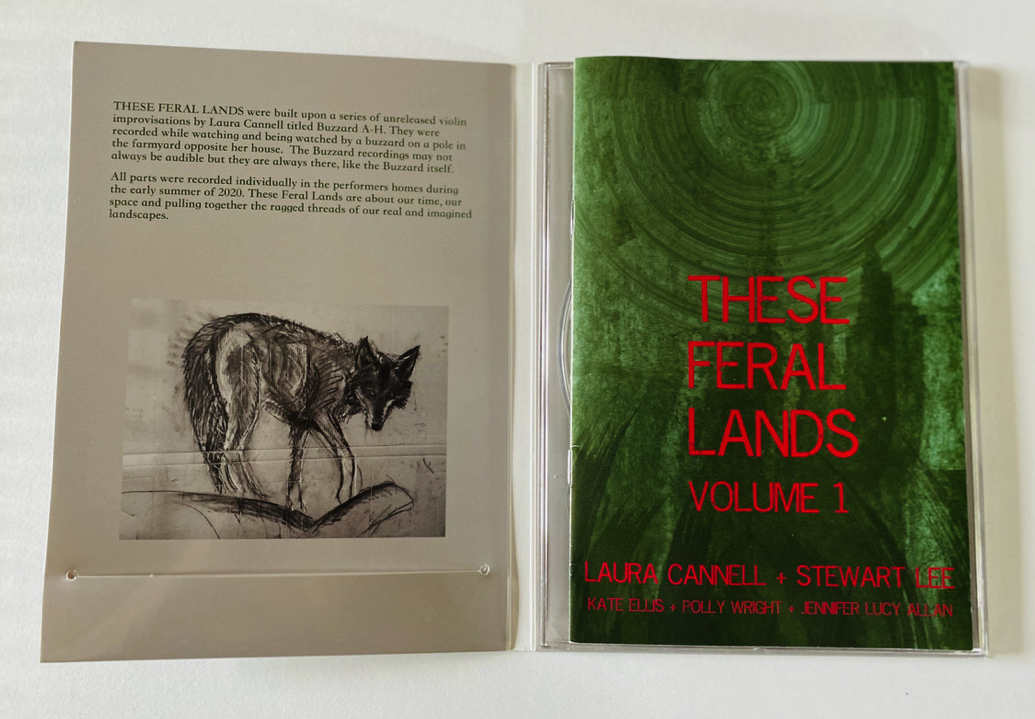 These Feral Lands | LAURA CANNELL Composer | Performer
