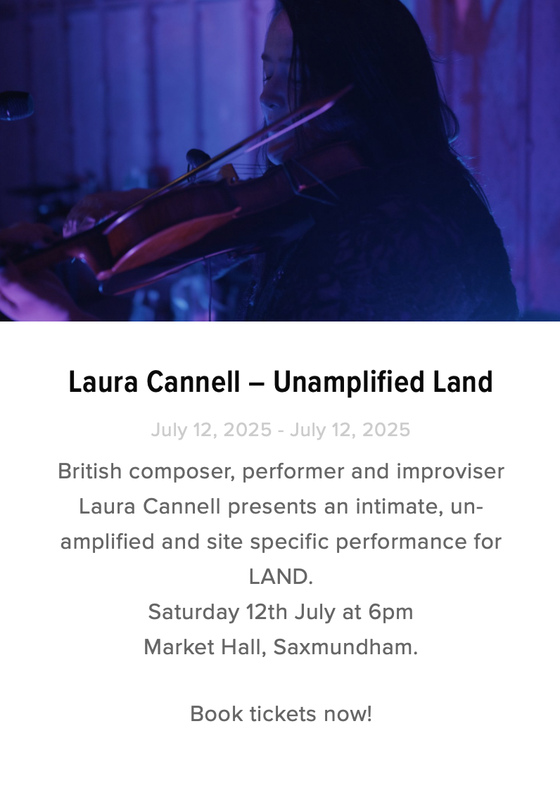 UNAMPLIFIED LAND – Laura Cannell Live Show | LAURA CANNELL Composer ...